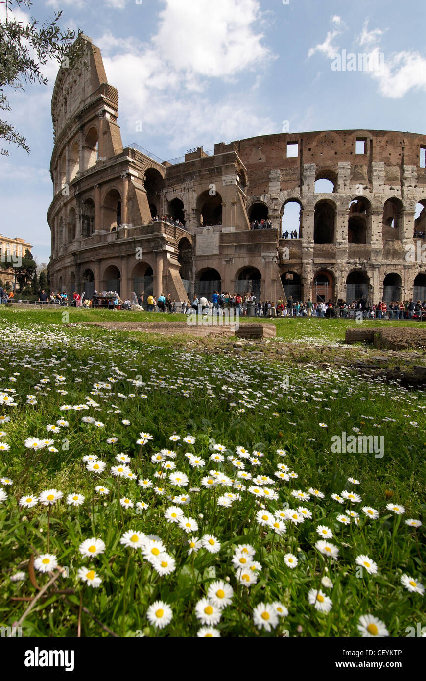 Pretty flowers and the Colosseum in Rome Stock Photo - Alamy