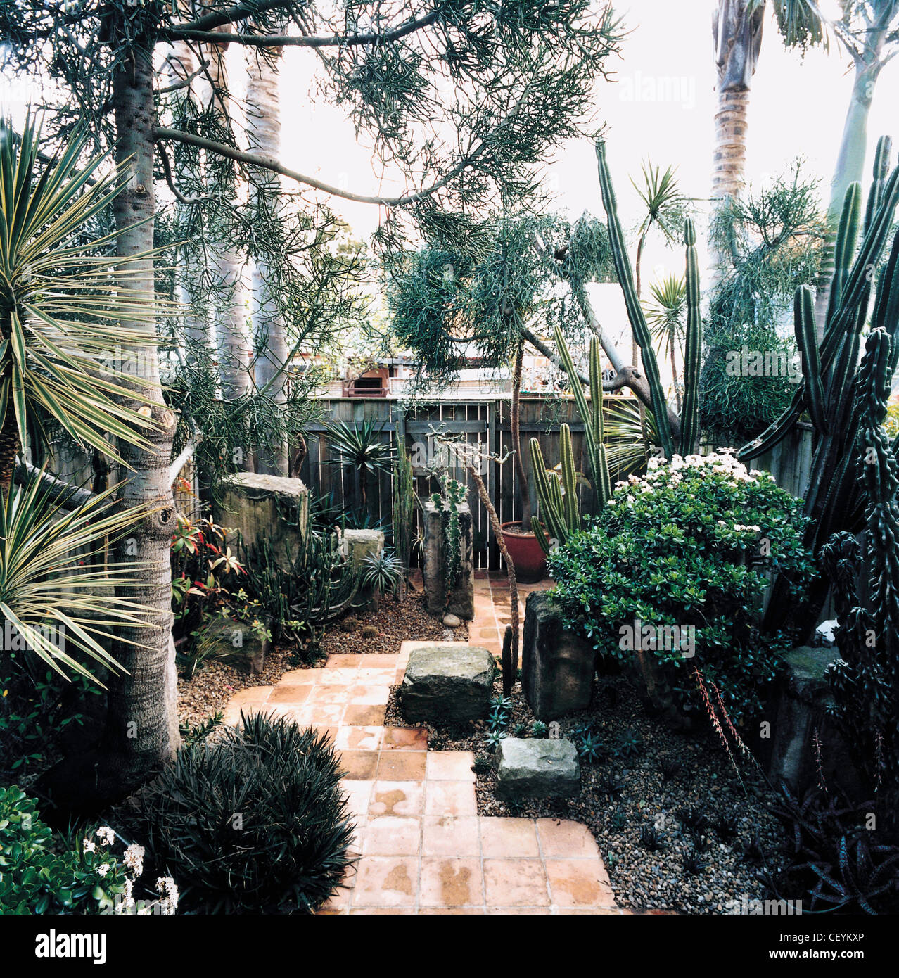 REAL HOMES:SPIKED On the prickly subject of what to grow in a small ...