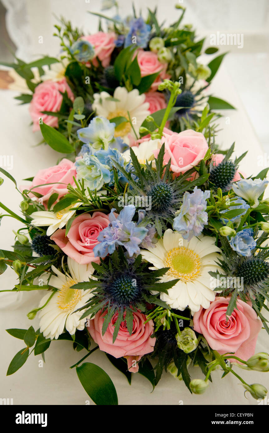 Stonehouse photographic hi-res stock photography and images - Alamy