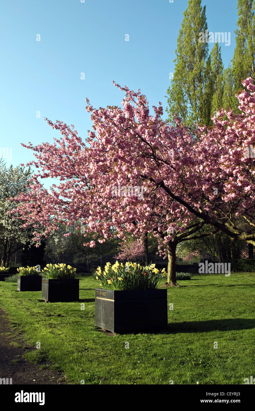 Walk through the park Stock Photo - Alamy