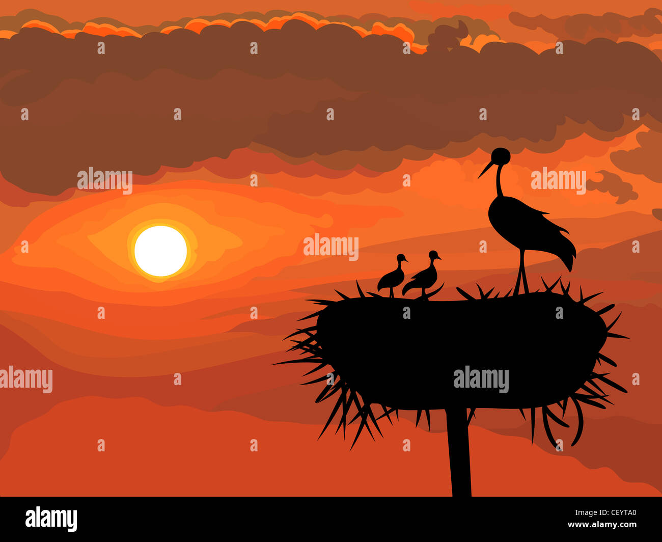 Stork's nest with chicks on a background of bright scarlet sunset Stock ...