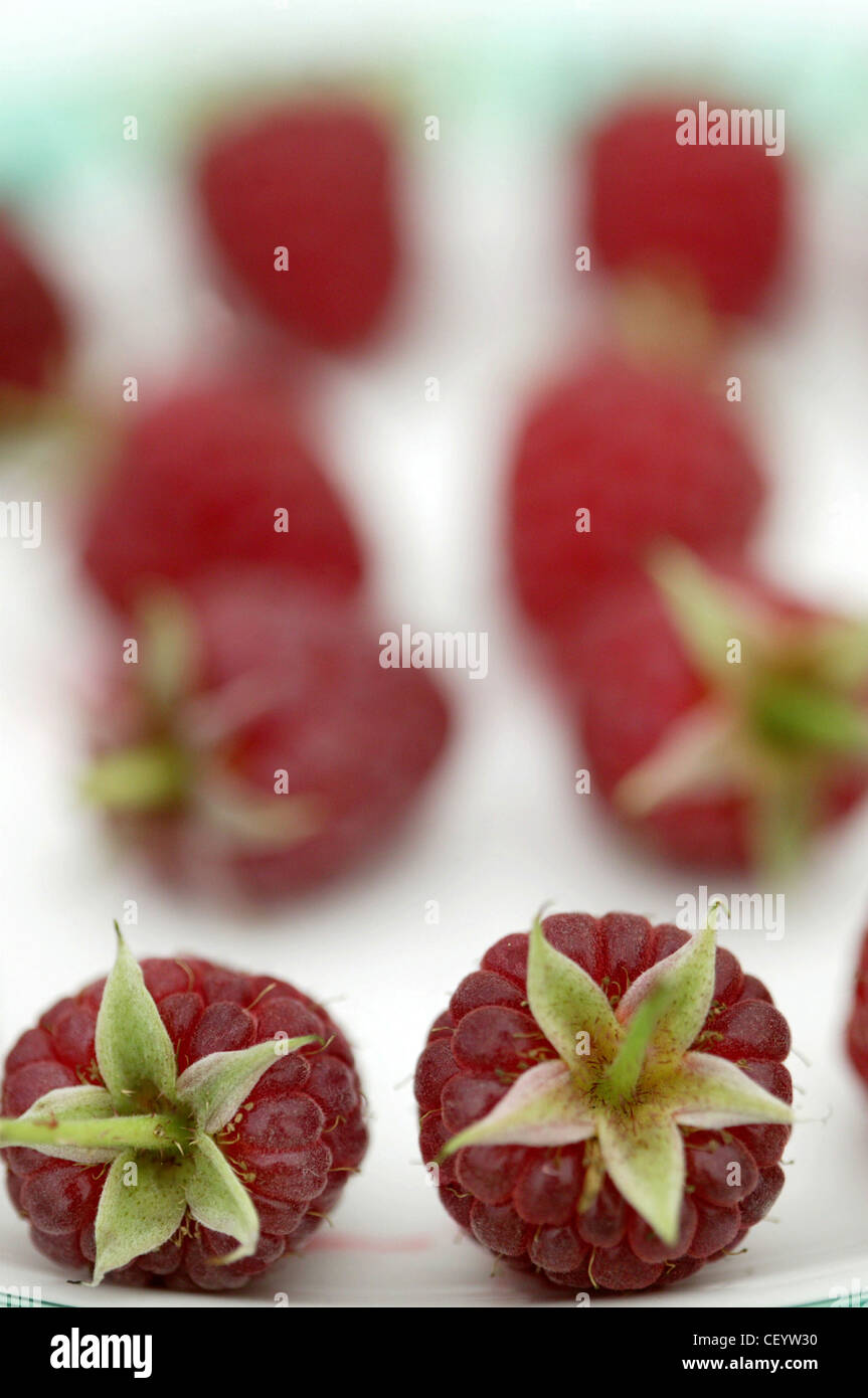 Raspberries on display at the Kew Horticultural Society Summer Show ...