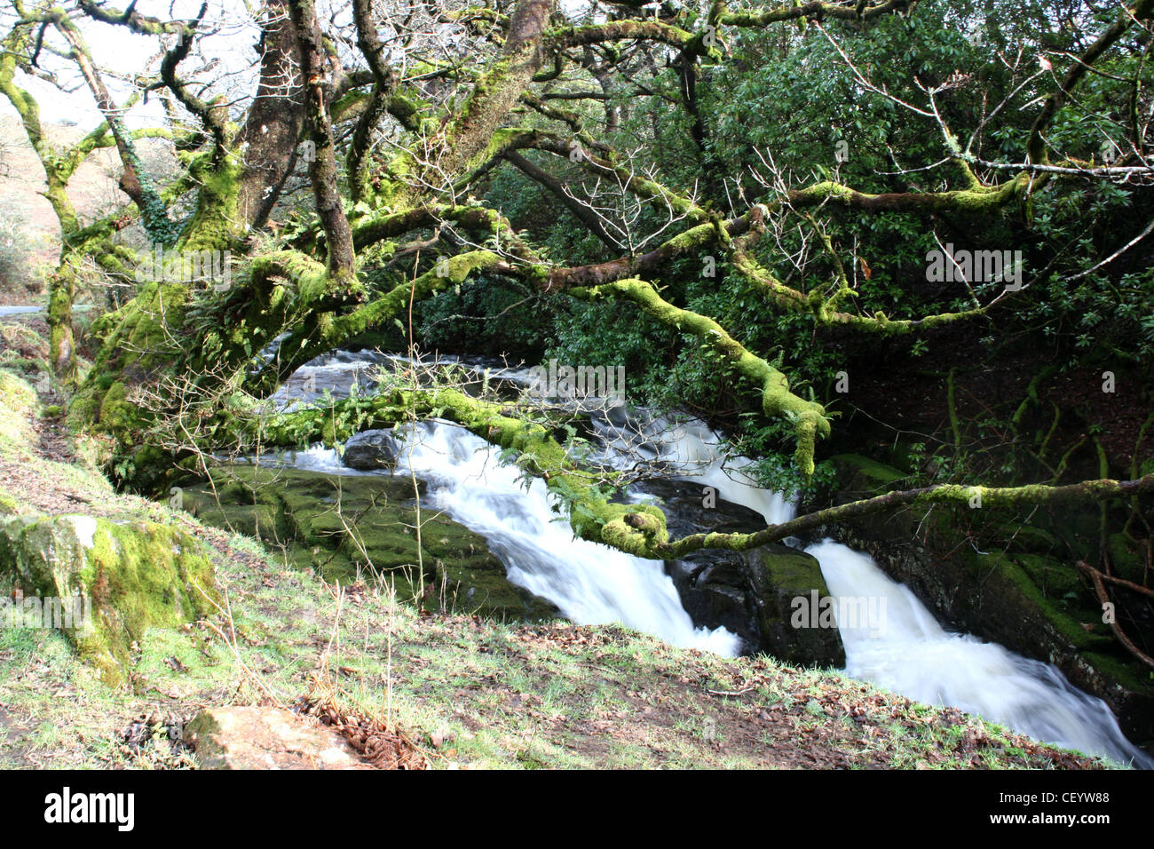 river avon dartmoor national park south devon south west of england uk ...
