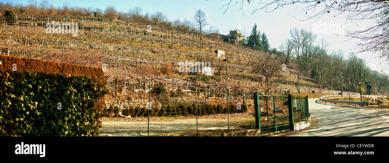 Viverone lake hi-res stock photography and images - Alamy