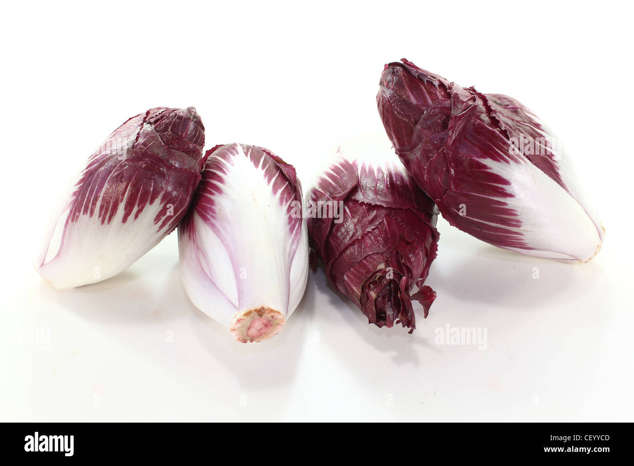 four red chicory on a light background Stock Photo - Alamy