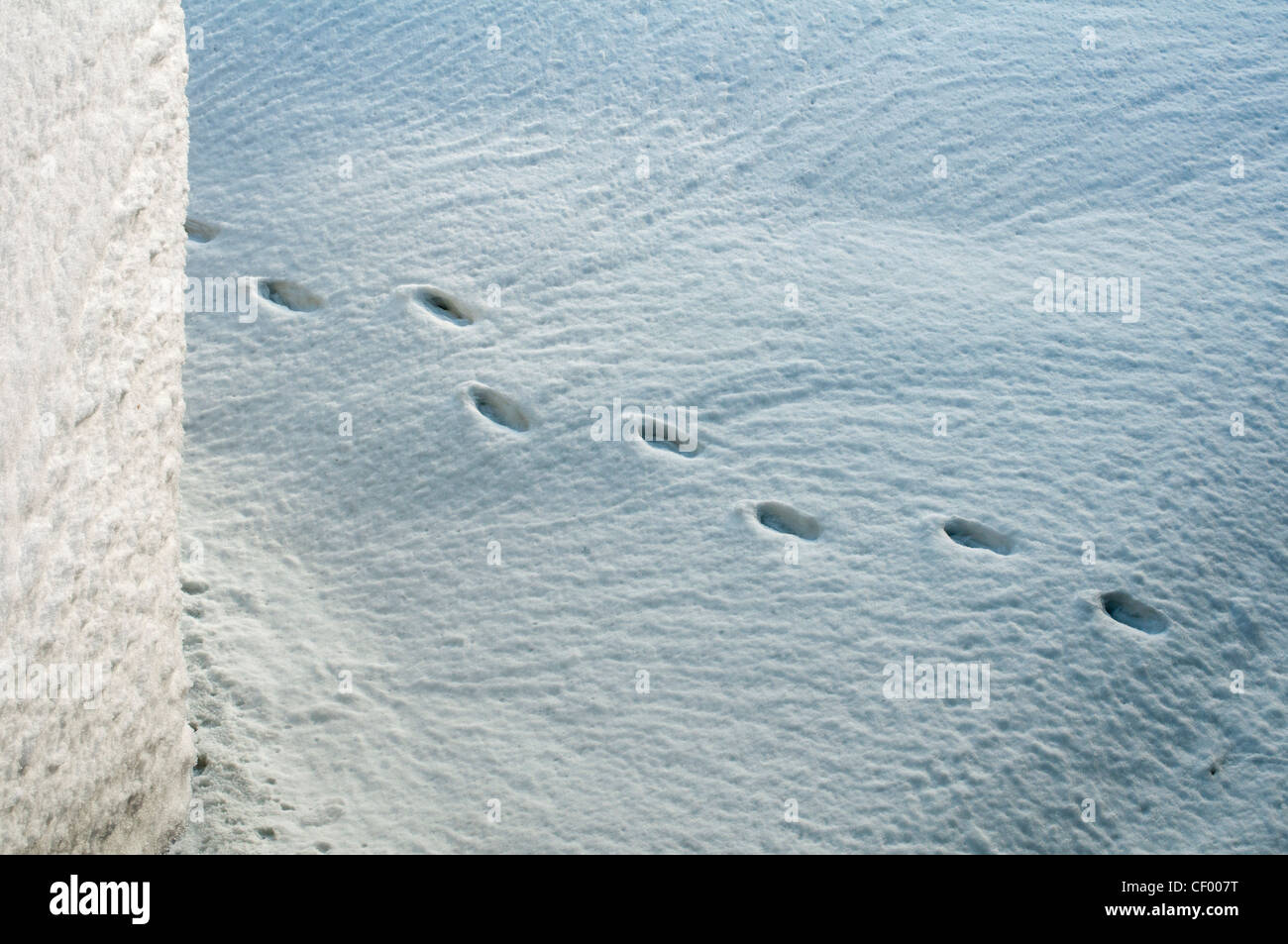 Snow drifts steps hi-res stock photography and images - Alamy