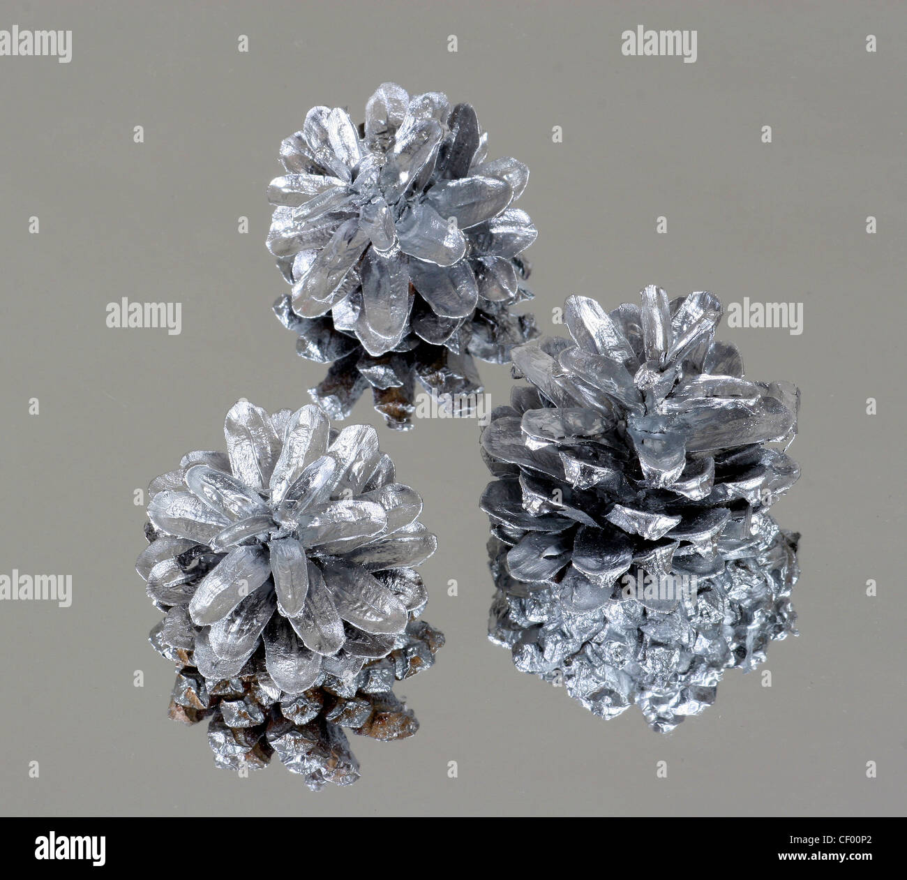 Three pine cones sprayed metallic silver, on a reflective surface Stock ...