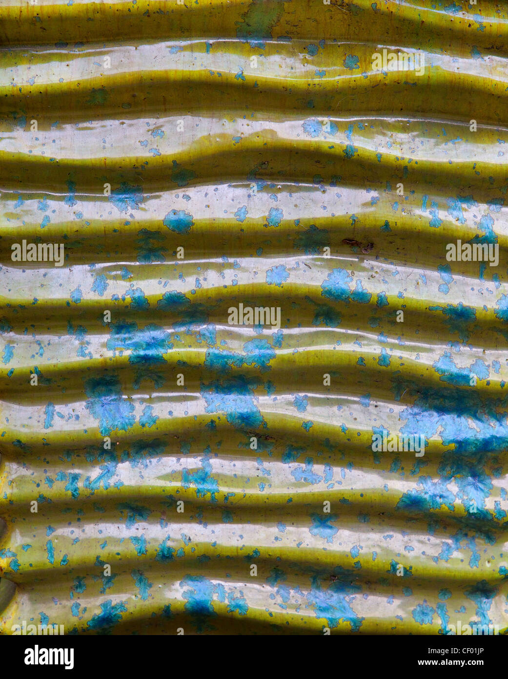 Olive green patches hi-res stock photography and images - Alamy