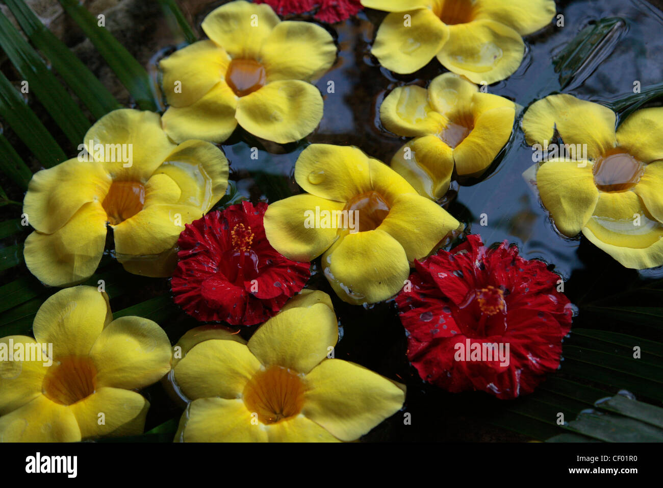 Traditional Bali flower decoration, Indonesia Stock Photo - Alamy