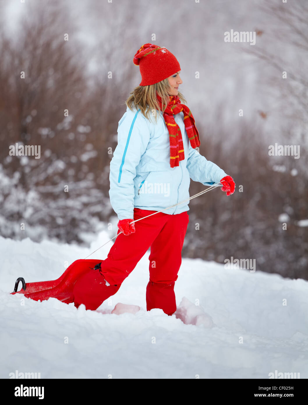 Young woman through the snow, pulling a slay and smiling Stock Photo ...