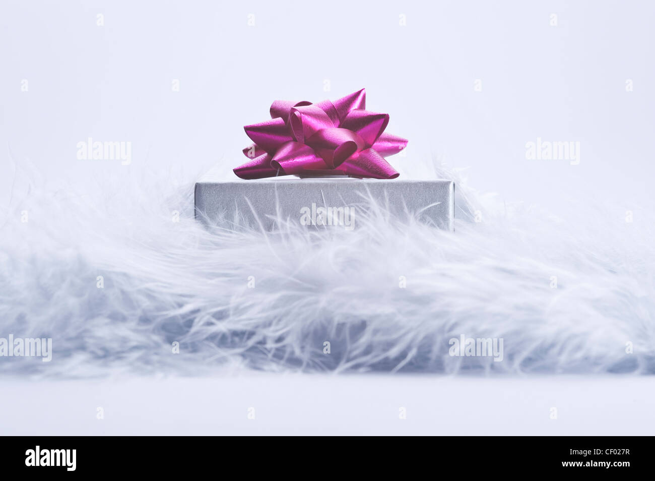 gift with decorative pink ribbon on feather Stock Photo - Alamy