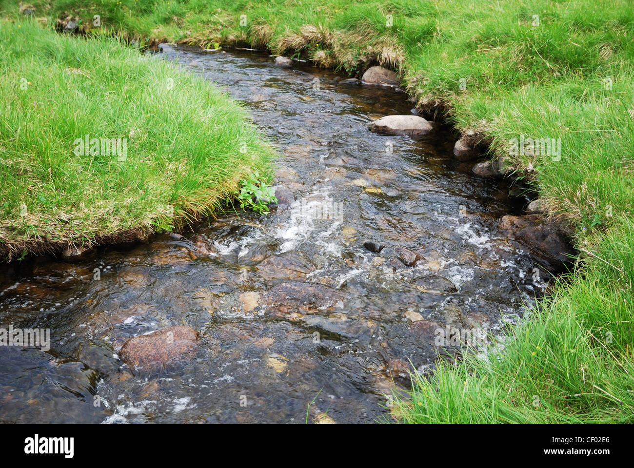 Meandering stream in green grass Stock Photo - Alamy