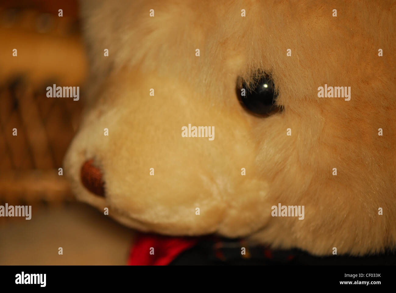 Mascot eyes hi-res stock photography and images - Alamy