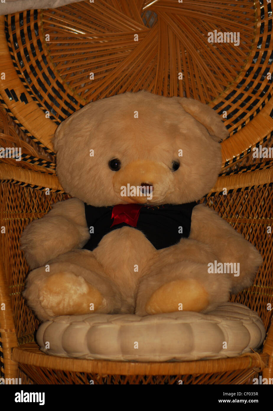 Mascot eyes hi-res stock photography and images - Alamy