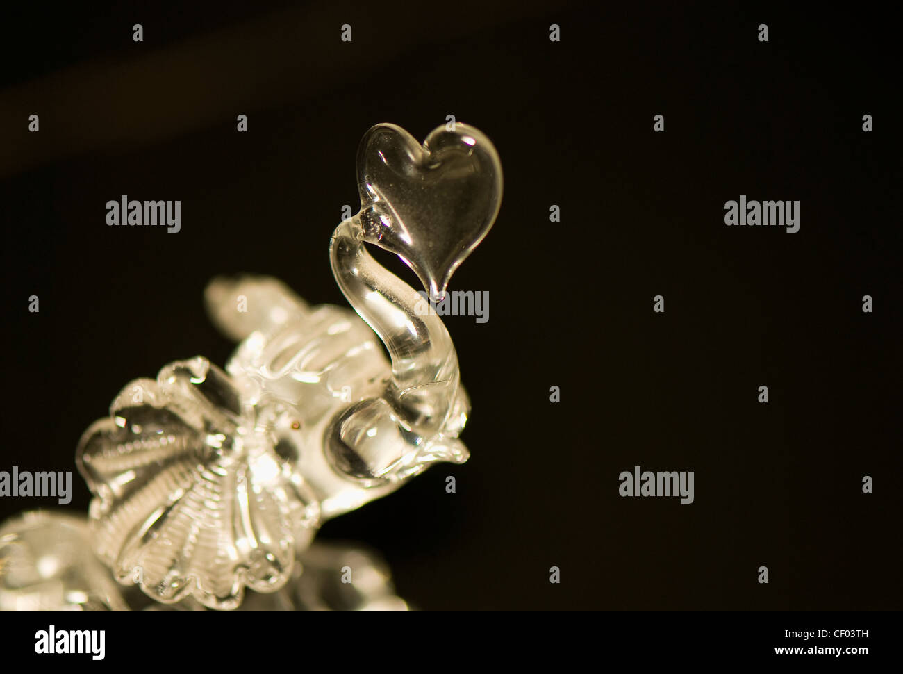 Elephant heart hi-res stock photography and images - Alamy