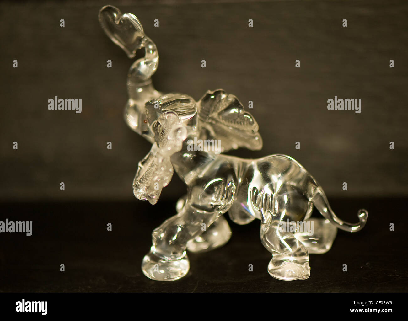 Fortunately hi-res stock photography and images - Alamy