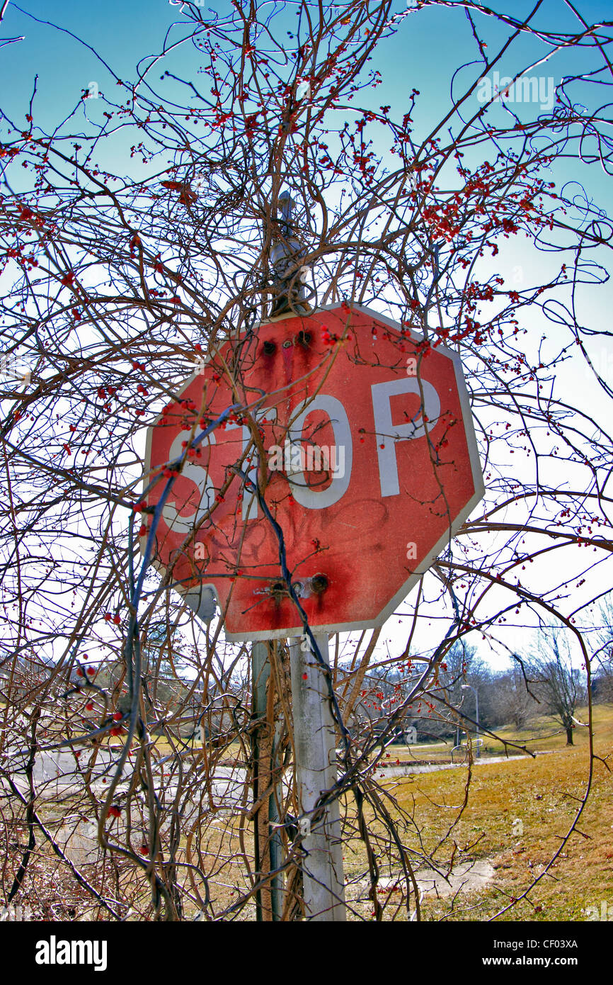 Worn out stop sign with weed overgrowth Long Island NY Stock Photo - Alamy