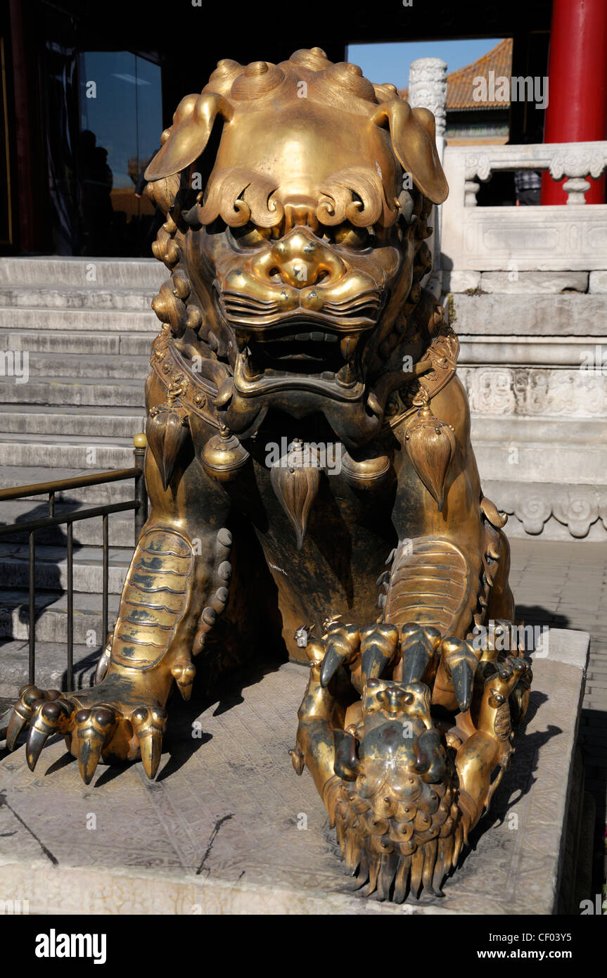 Bronze bronzed gilded female Lion statue Forbidden City China Beijing ...