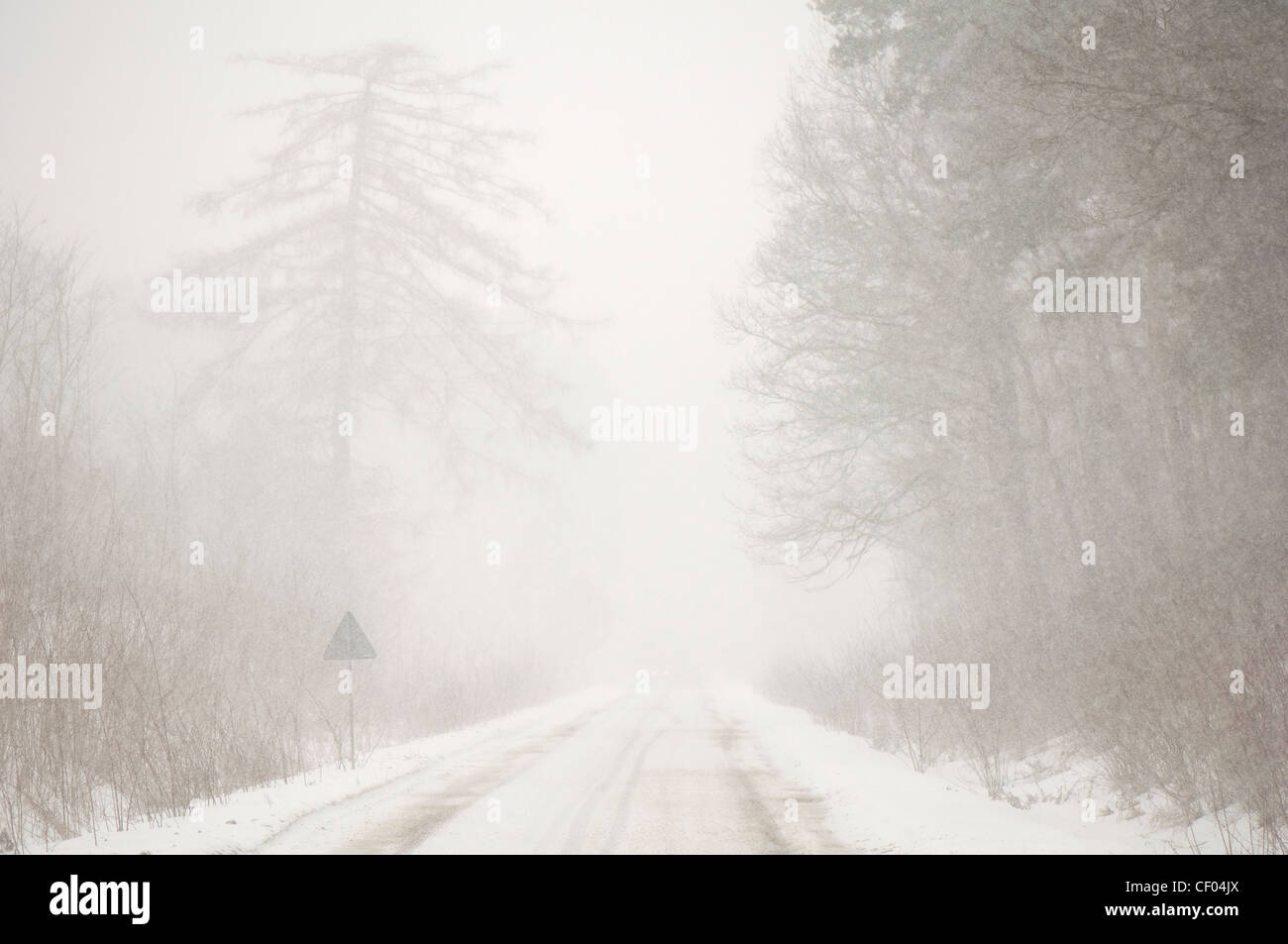 Flurry of snow hi-res stock photography and images - Alamy