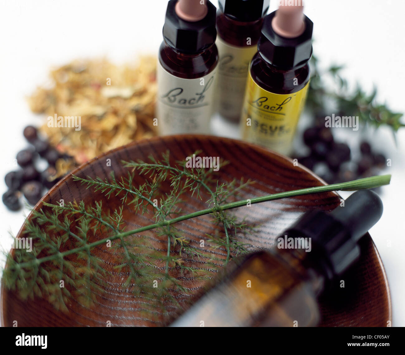 Homeopathic herbs hi-res stock photography and images - Alamy