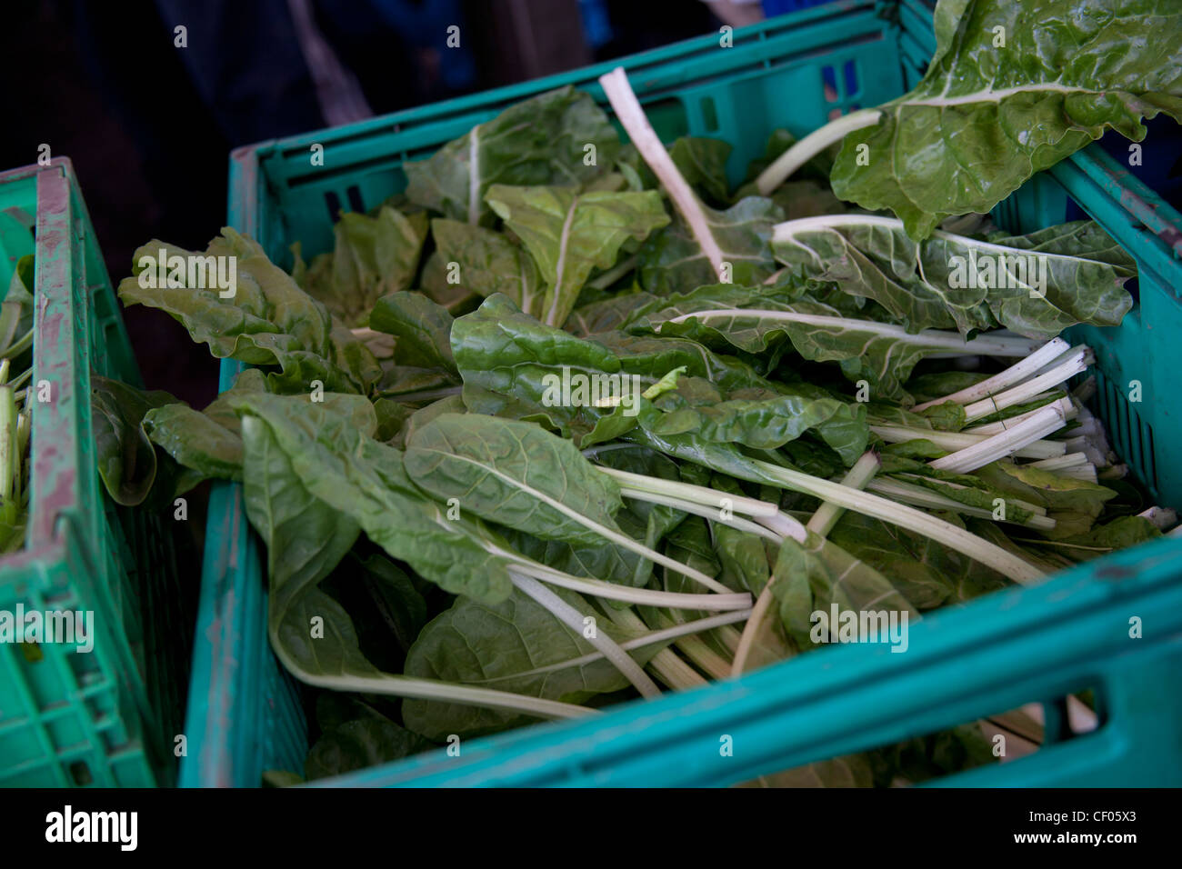 Swiss image hi-res stock photography and images - Alamy