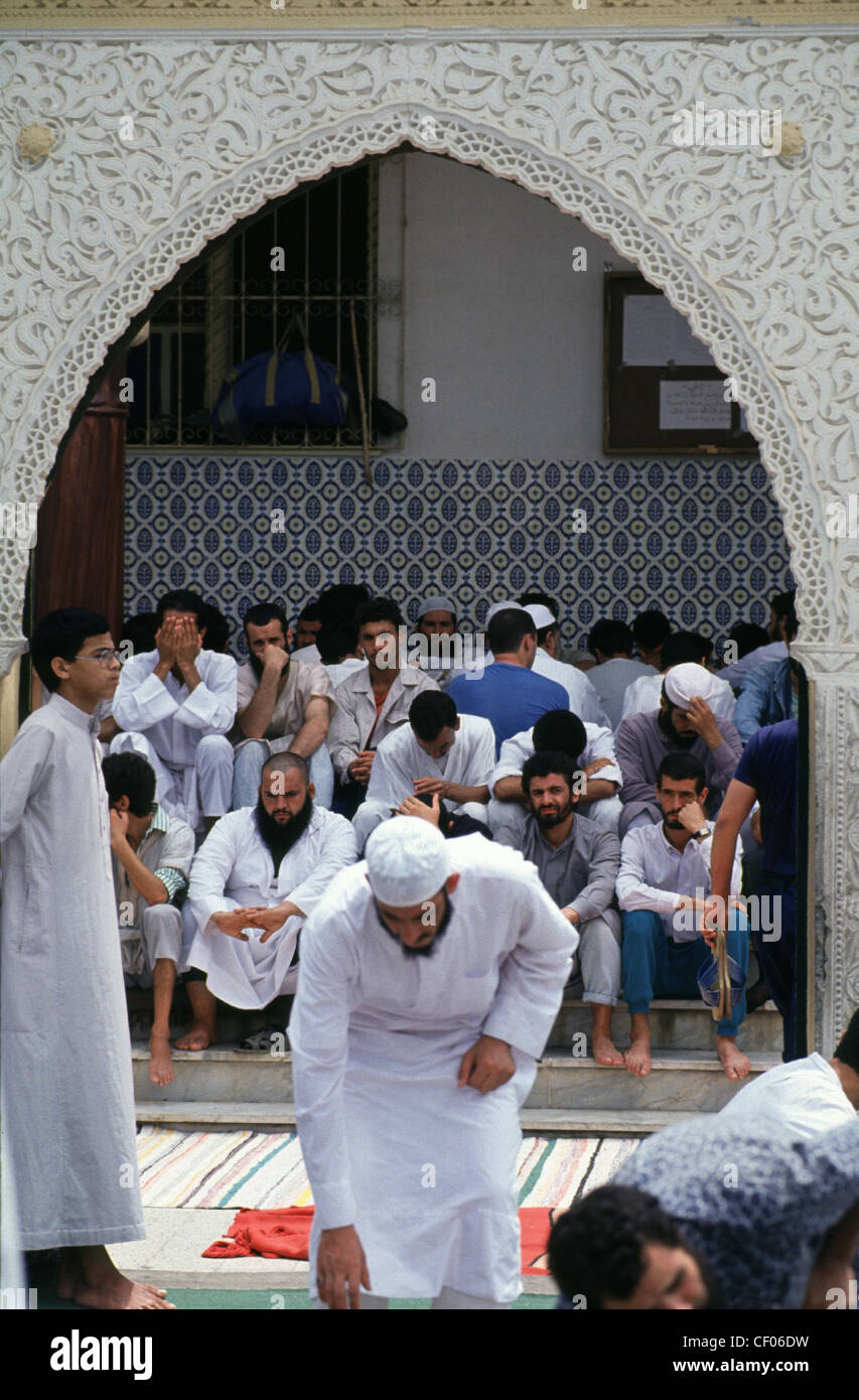 Fis algeria hi-res stock photography and images - Alamy