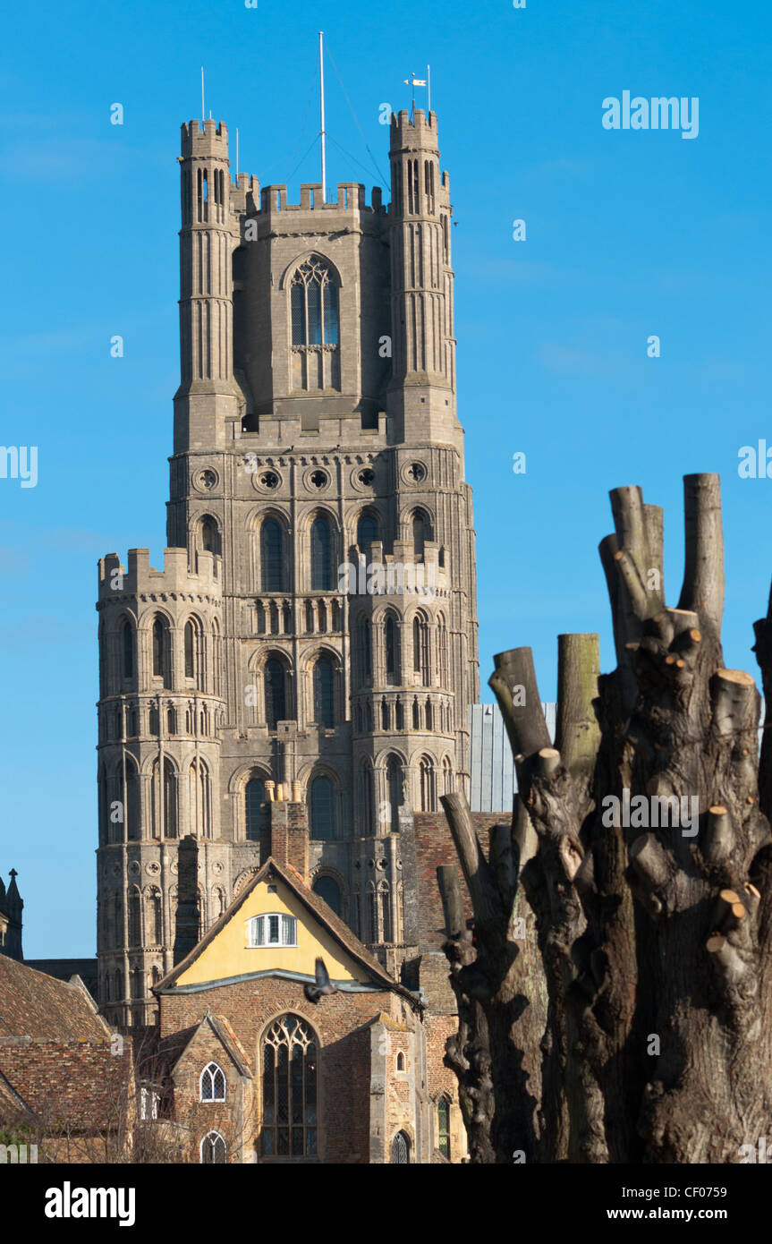 West Tower Ely Cathedral Ely City Cambridgeshire England Britain UK ...