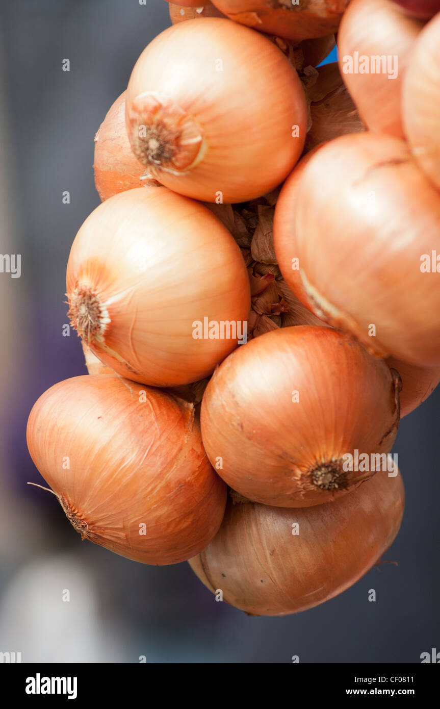Strings of onions hi-res stock photography and images - Alamy