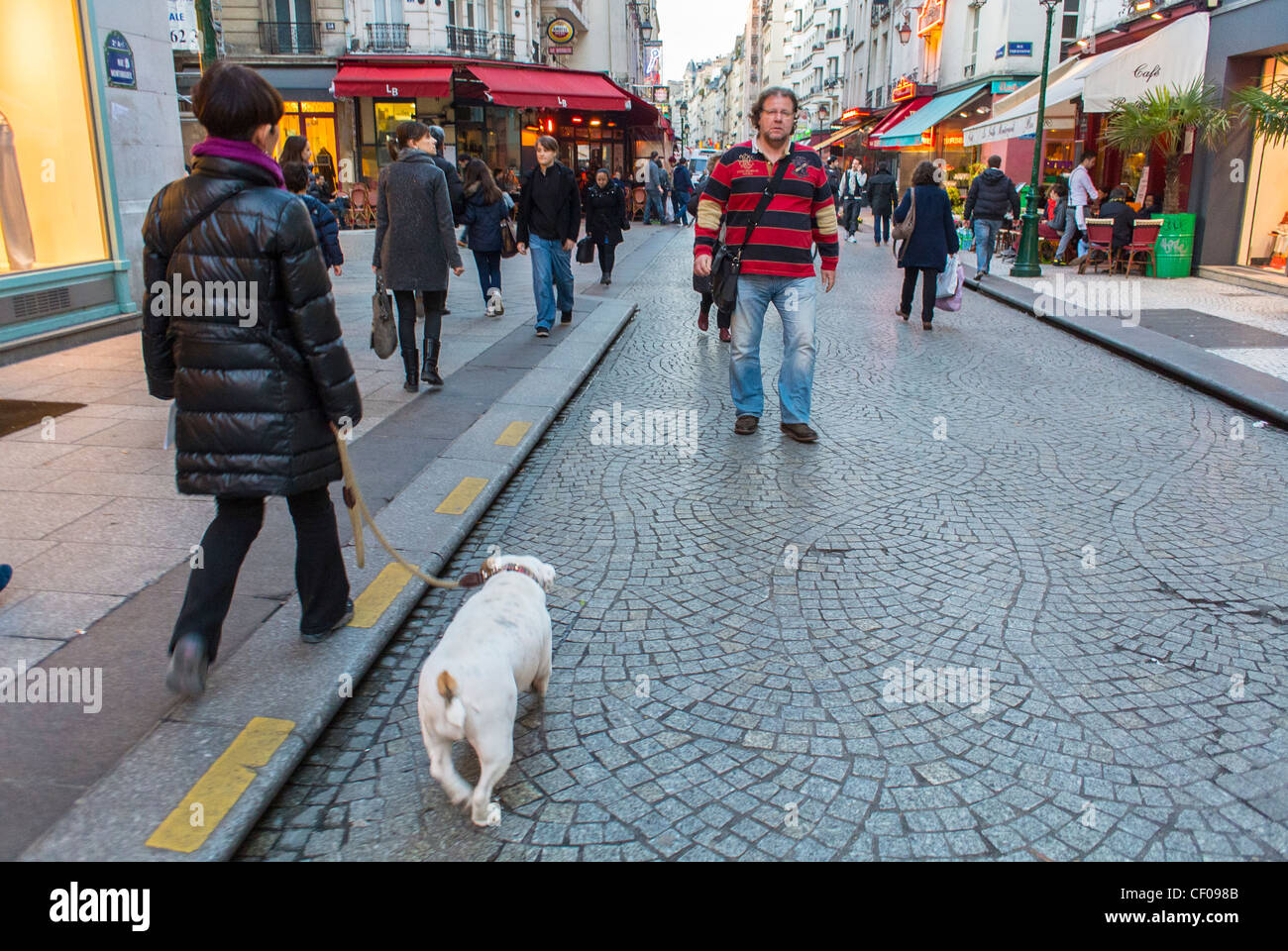 France Paris Woman Walking Dog High Resolution Stock Photography and ...