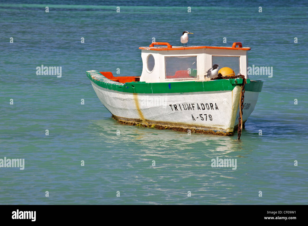 Fishing Boat of Aruba in the Caribbean Sea Stock Photo - Alamy