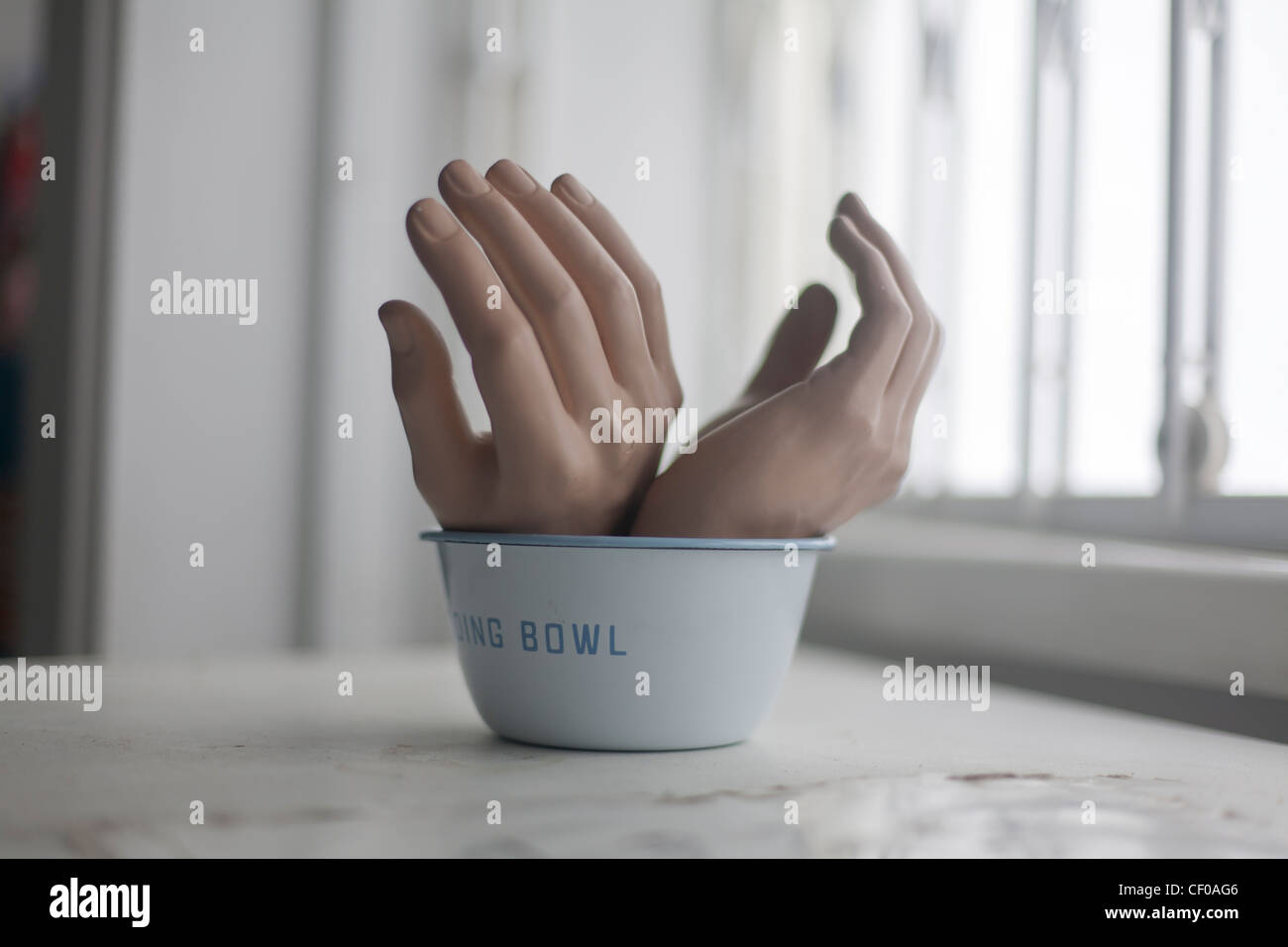 Severed hands hi-res stock photography and images - Alamy