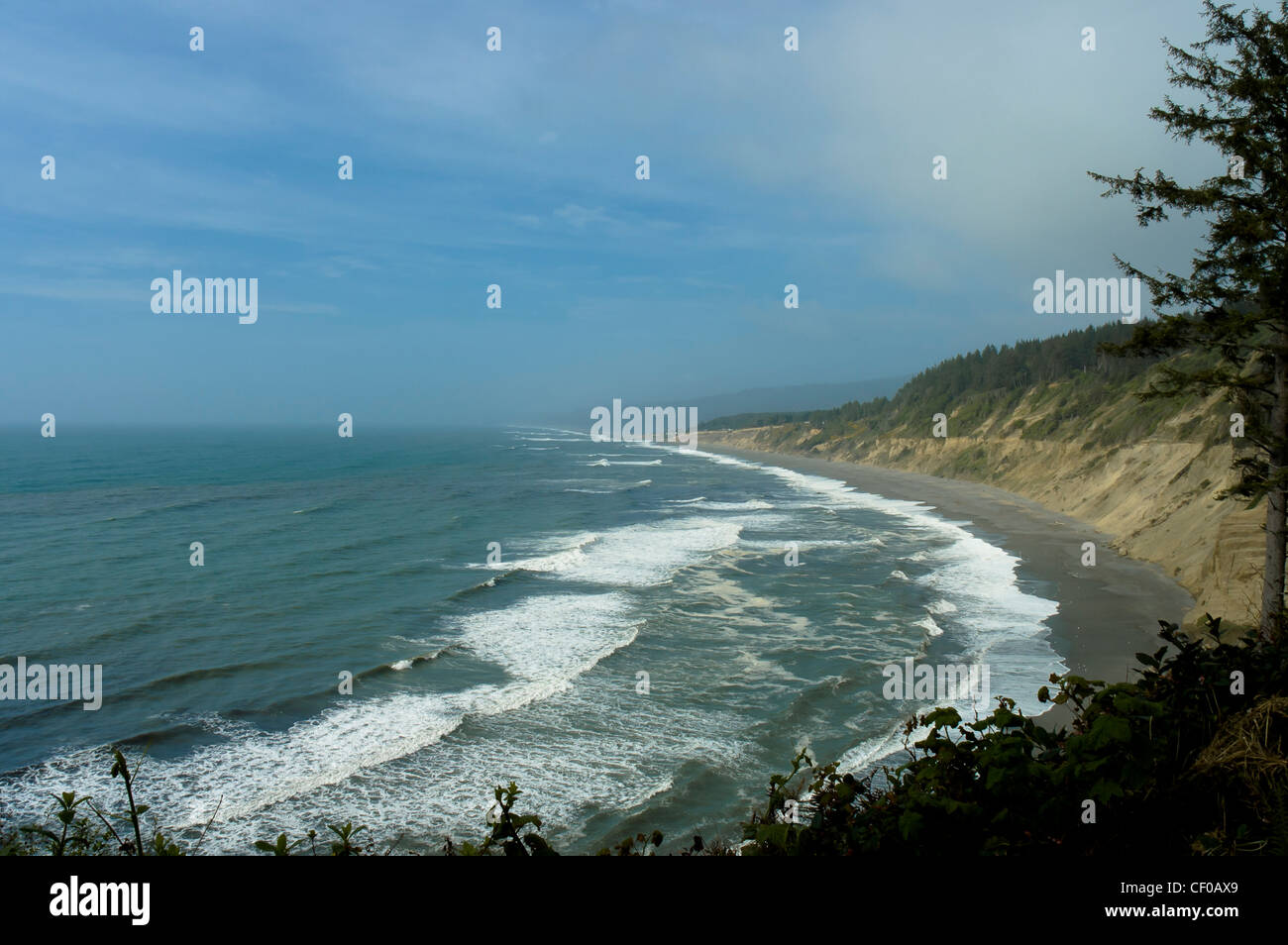 Beach of Trinidad Head, landmark of Humboldt County, California, USA ...