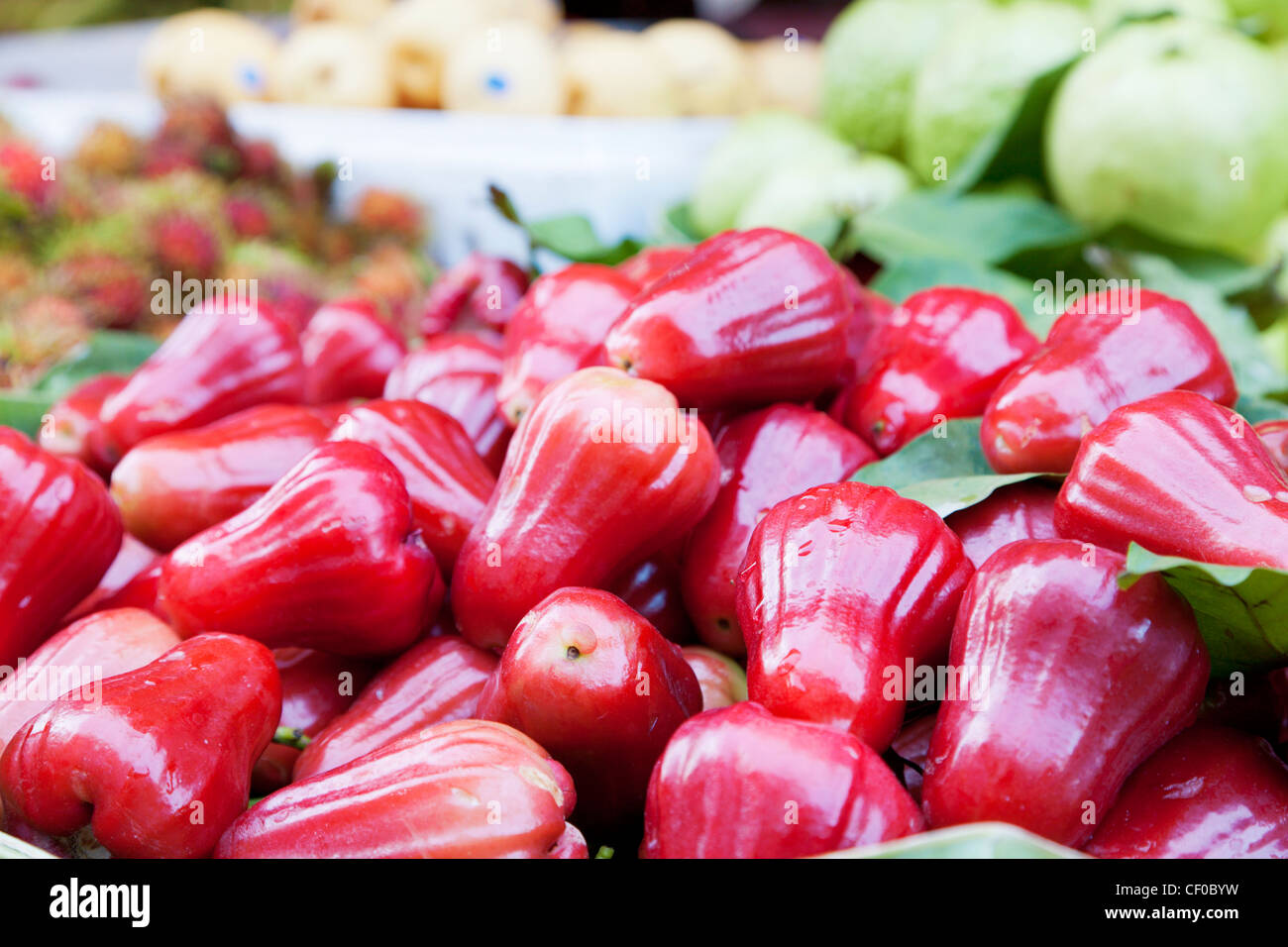 Red red rose street hi-res stock photography and images - Alamy