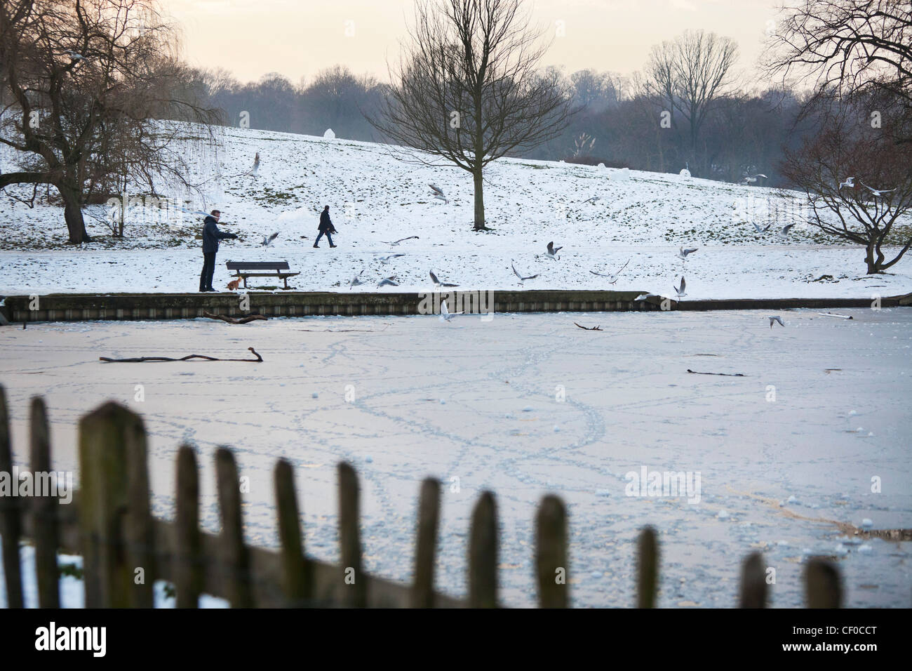 A frozen pond, Hampstead Heath, Highgate, London, England, UK Stock ...