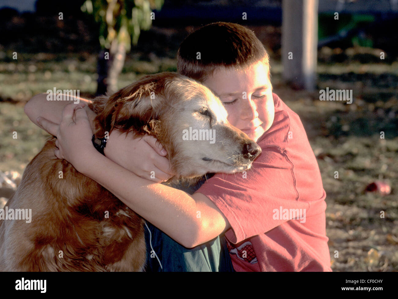 Young boy hugging old golden retriever Stock Photo - Alamy