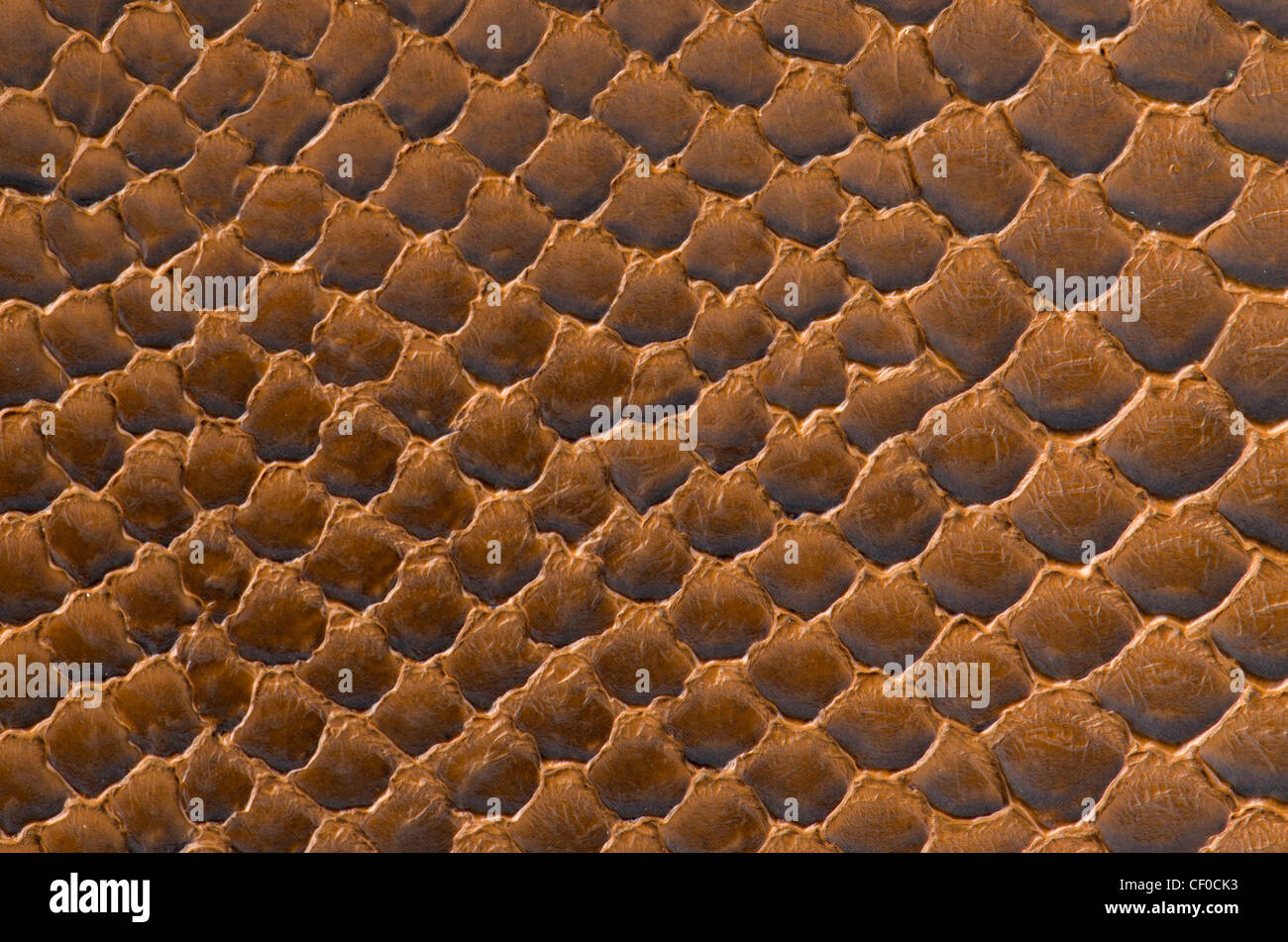 Brown snake skin detailed texture background Stock Photo - Alamy