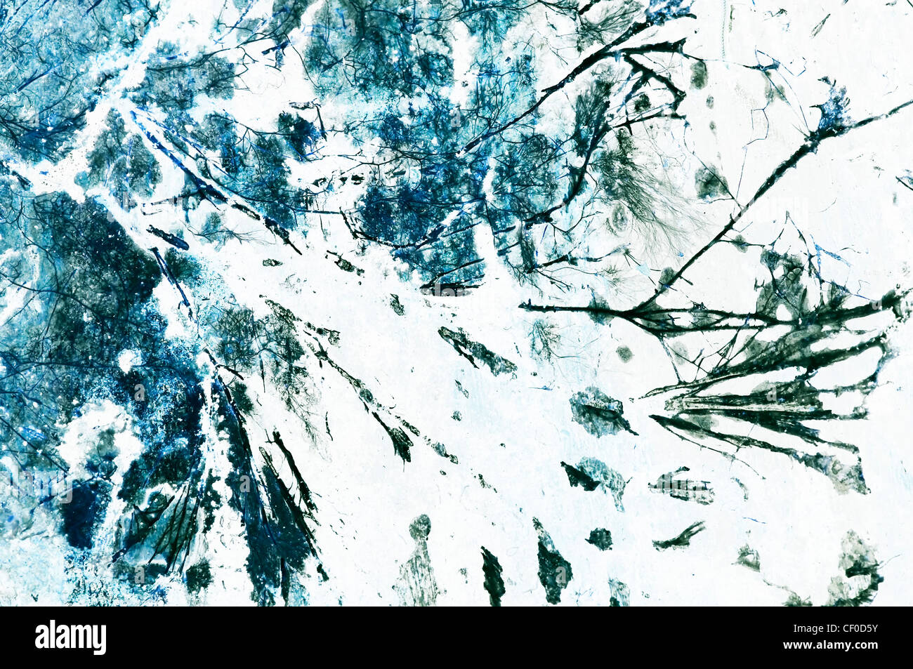 close-up of the organic matter Stock Photo - Alamy