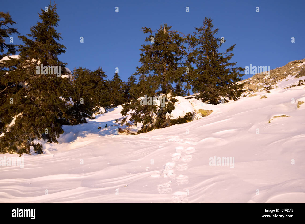 Wavy land hi-res stock photography and images - Alamy