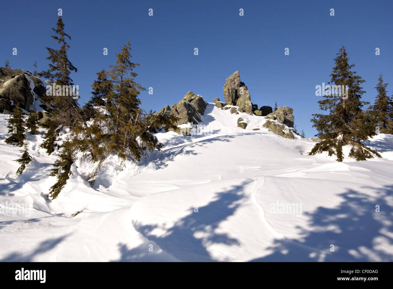 Ural mountains russia snow trees hi-res stock photography and images ...