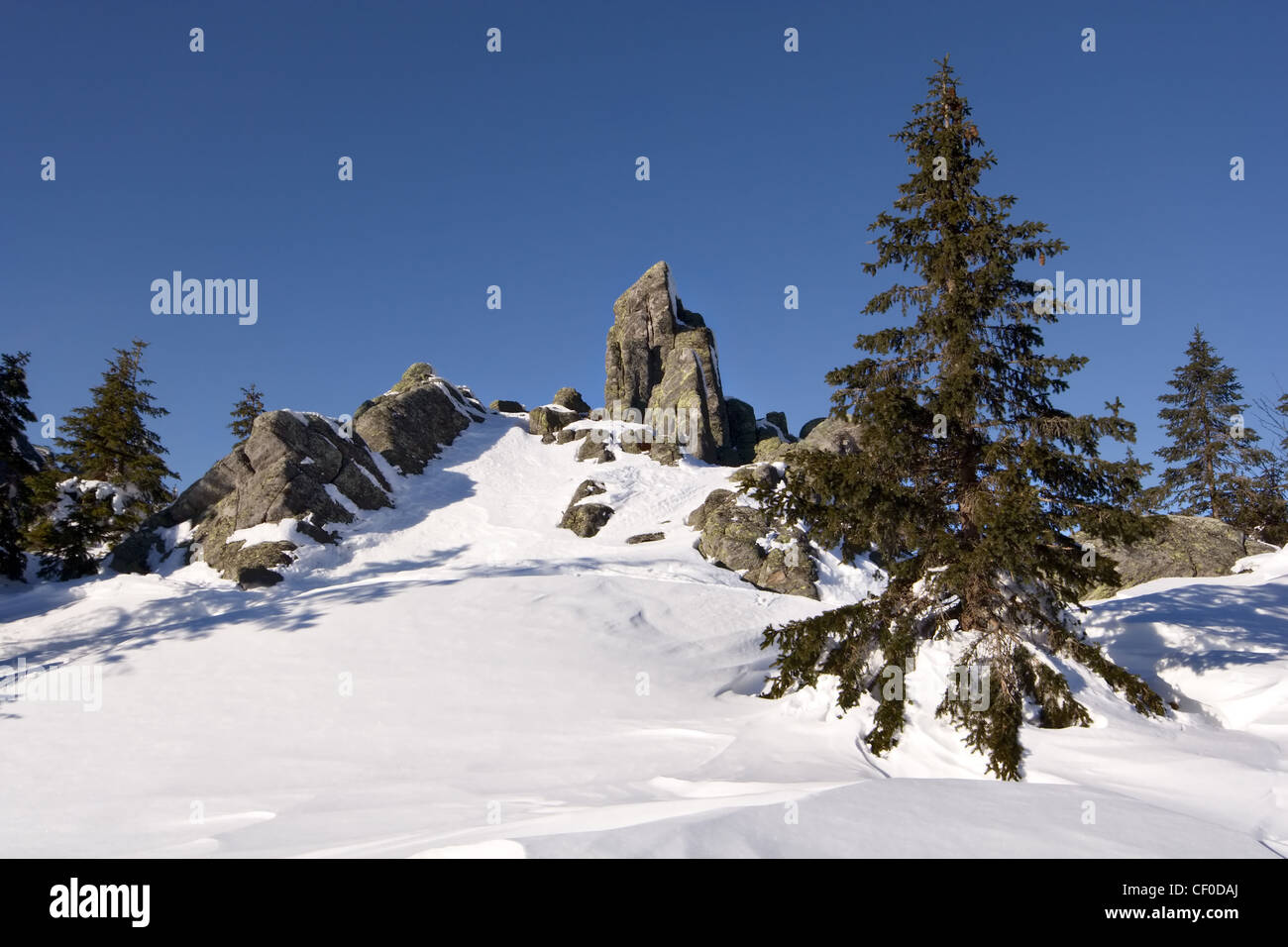 Ural mountains russia snow trees hi-res stock photography and images ...