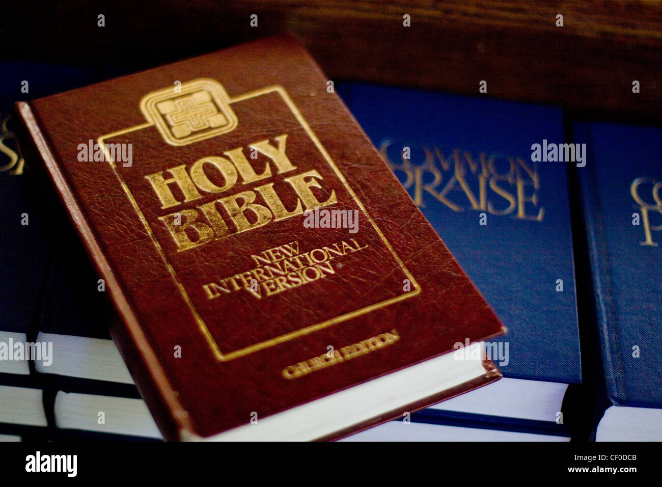 THE HOLY BIBLE, NEW INTERNATIONAL VERSION Stock Photo - Alamy