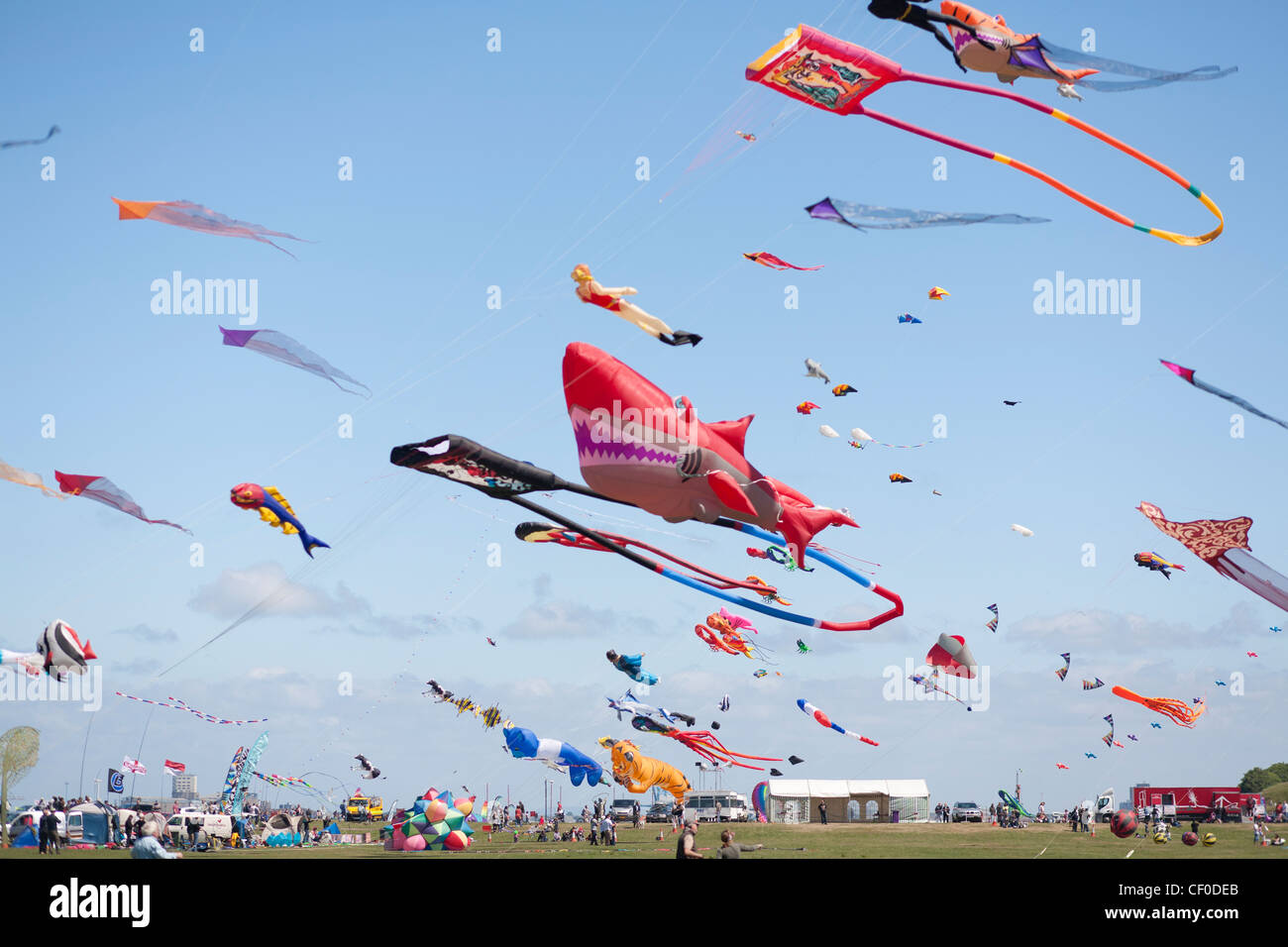 lots of kites flying during an international kite festive in new ...