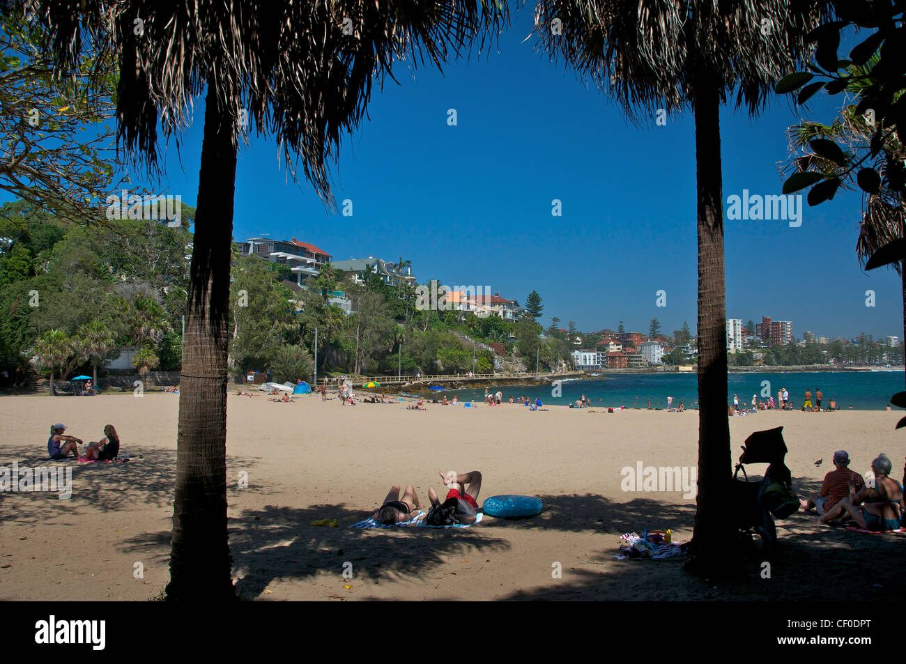 shelly-beach-sydney-hi-res-stock-photography-and-images-alamy