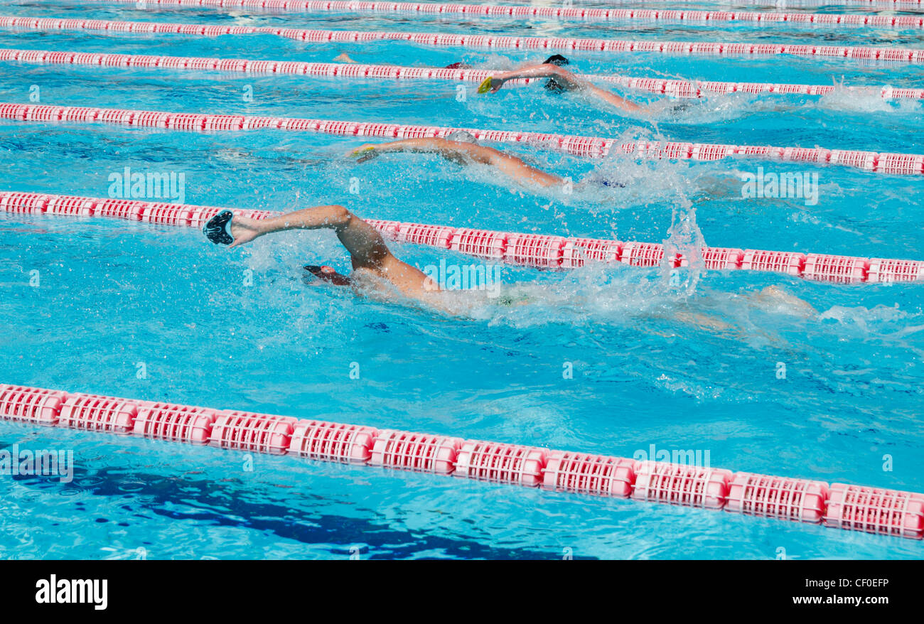 Swimmers training in 50 metre pool Stock Photo - Alamy