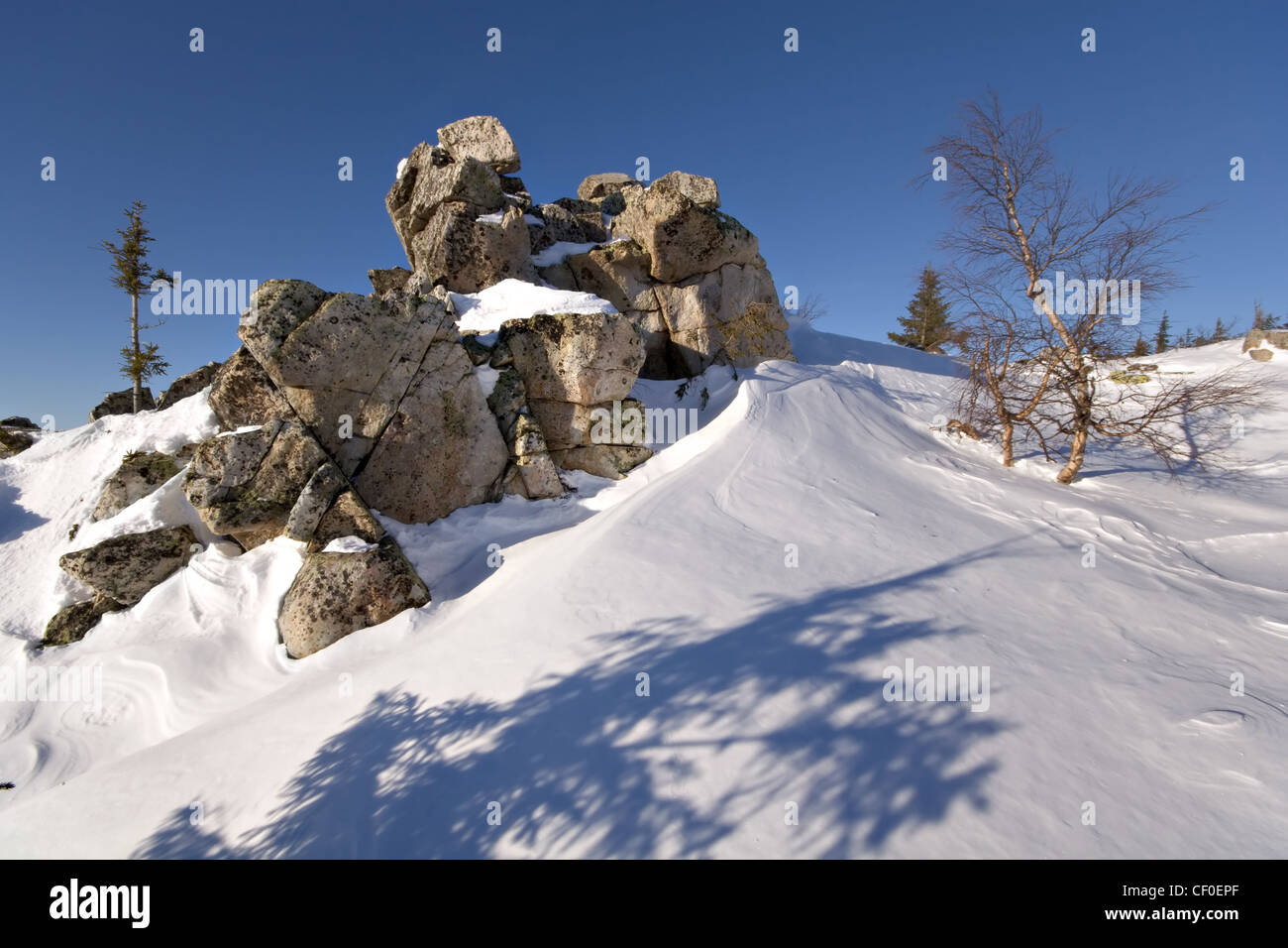 Winter in taiga. Snow-covered trees and rocks. South Ural mountains ...