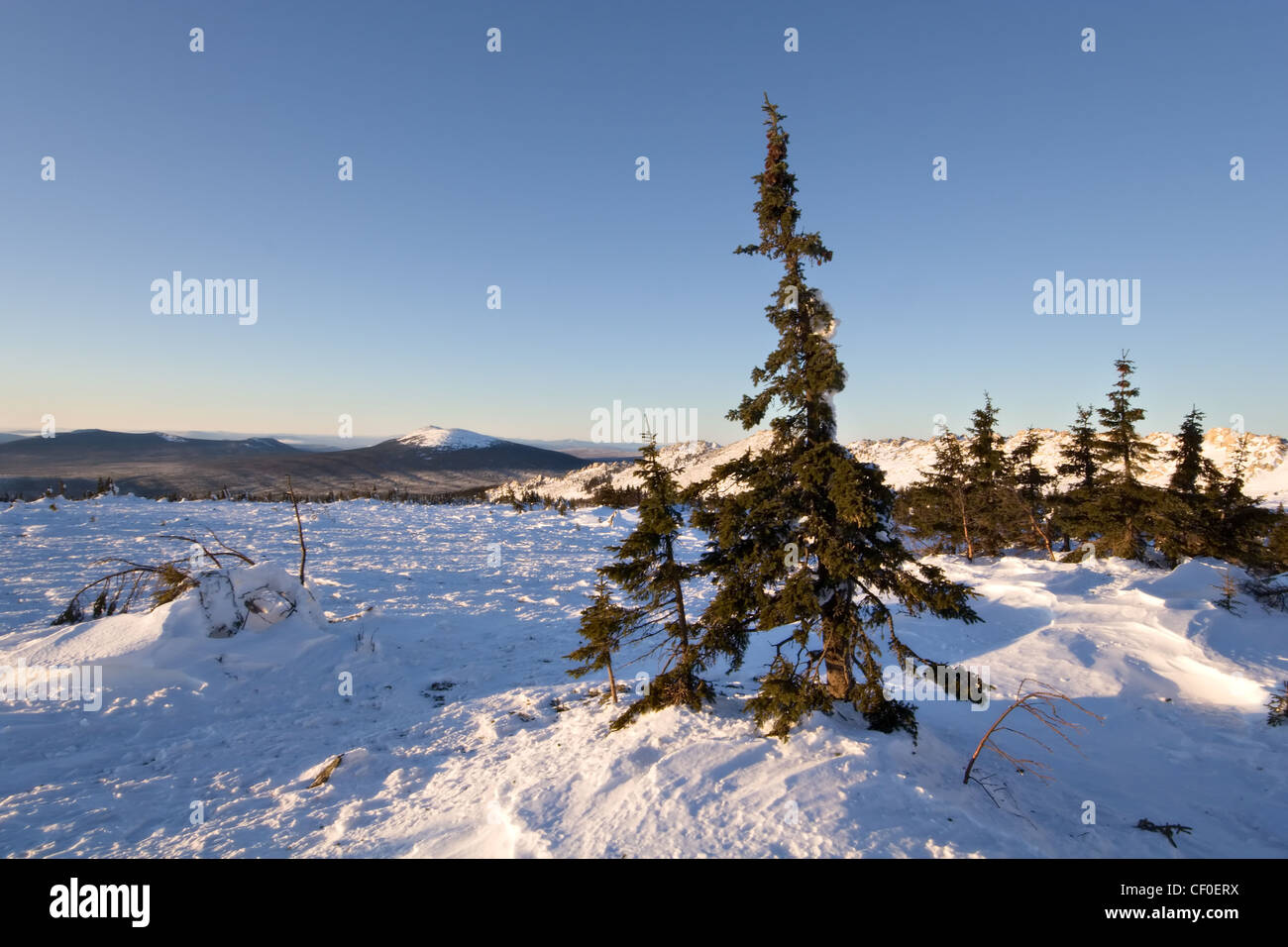 Winter snowy landscape.Wild nature in Russia. National park Taganay ...