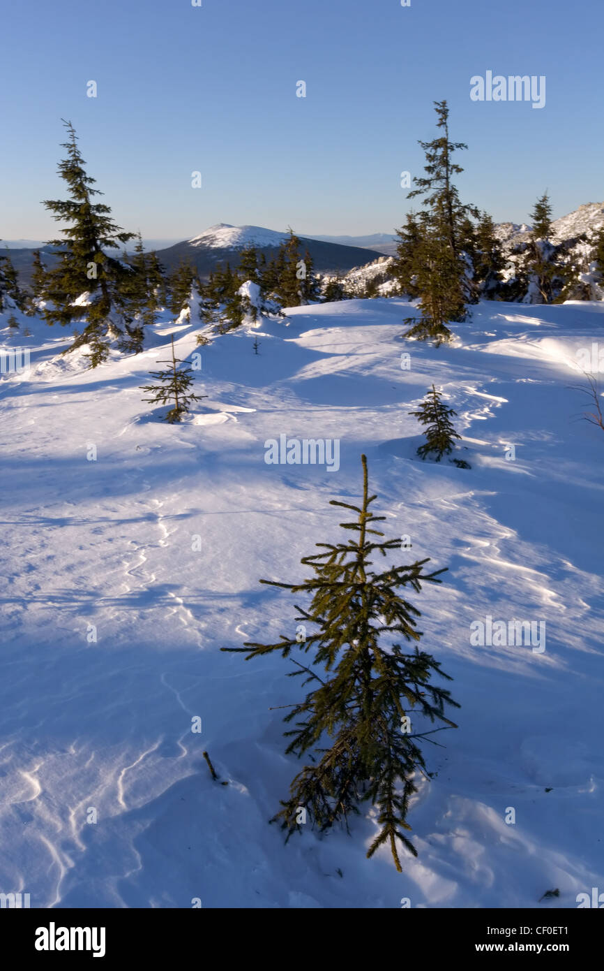 Taganay russia hi-res stock photography and images - Alamy