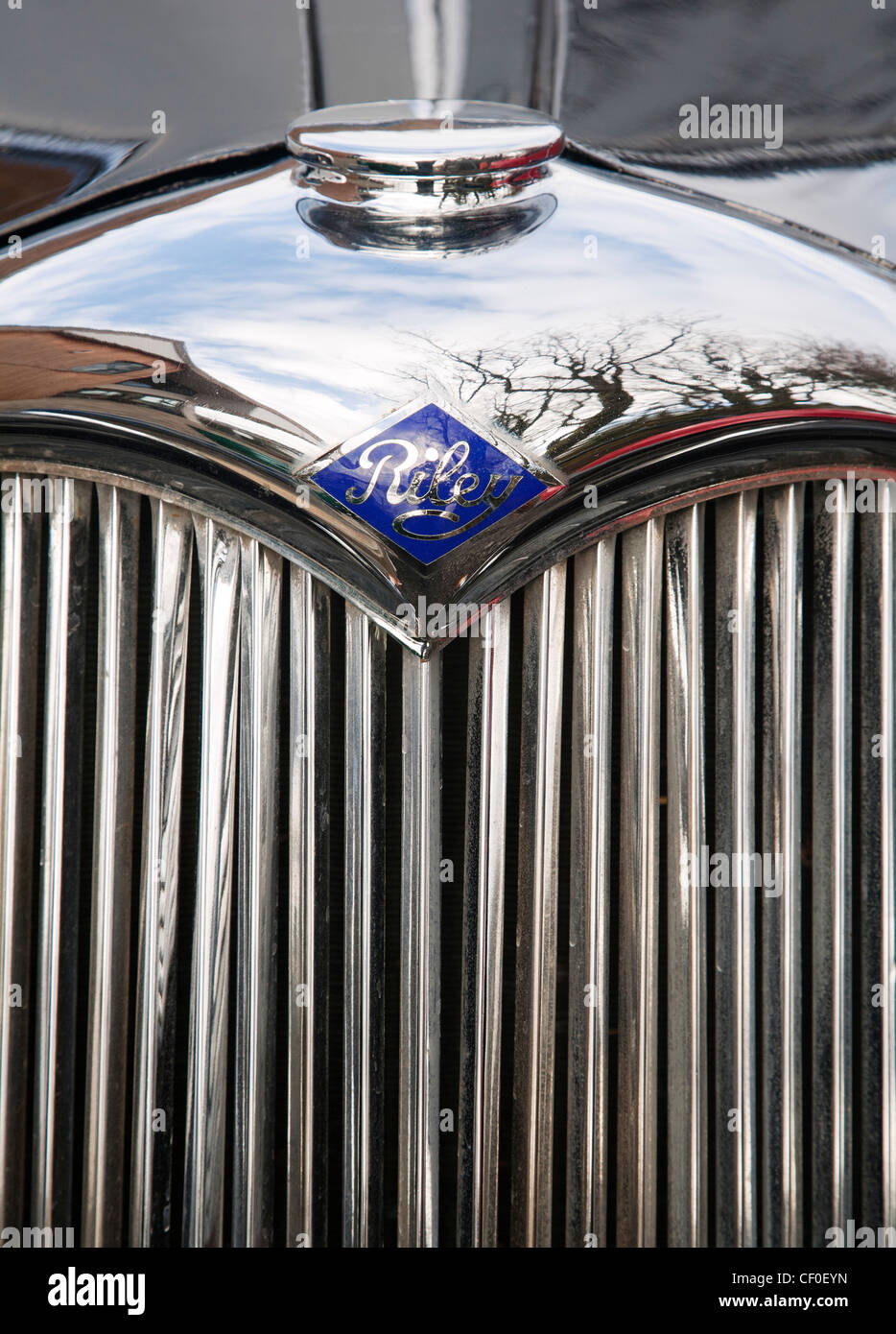1950s vintage Riley car radiator grill Stock Photo - Alamy