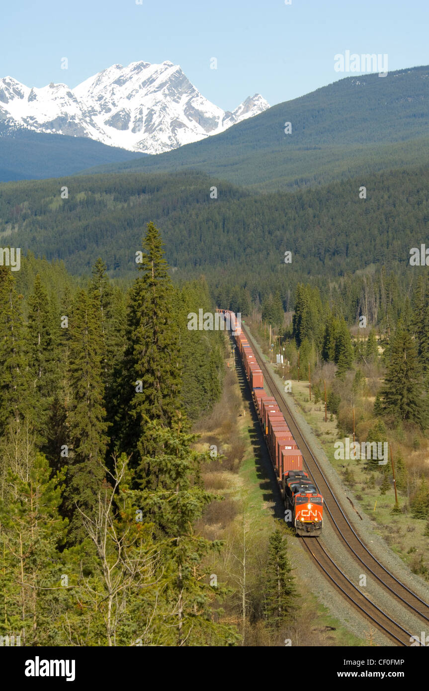 Rocky Mountain train in Alberta Canada Stock Photo - Alamy