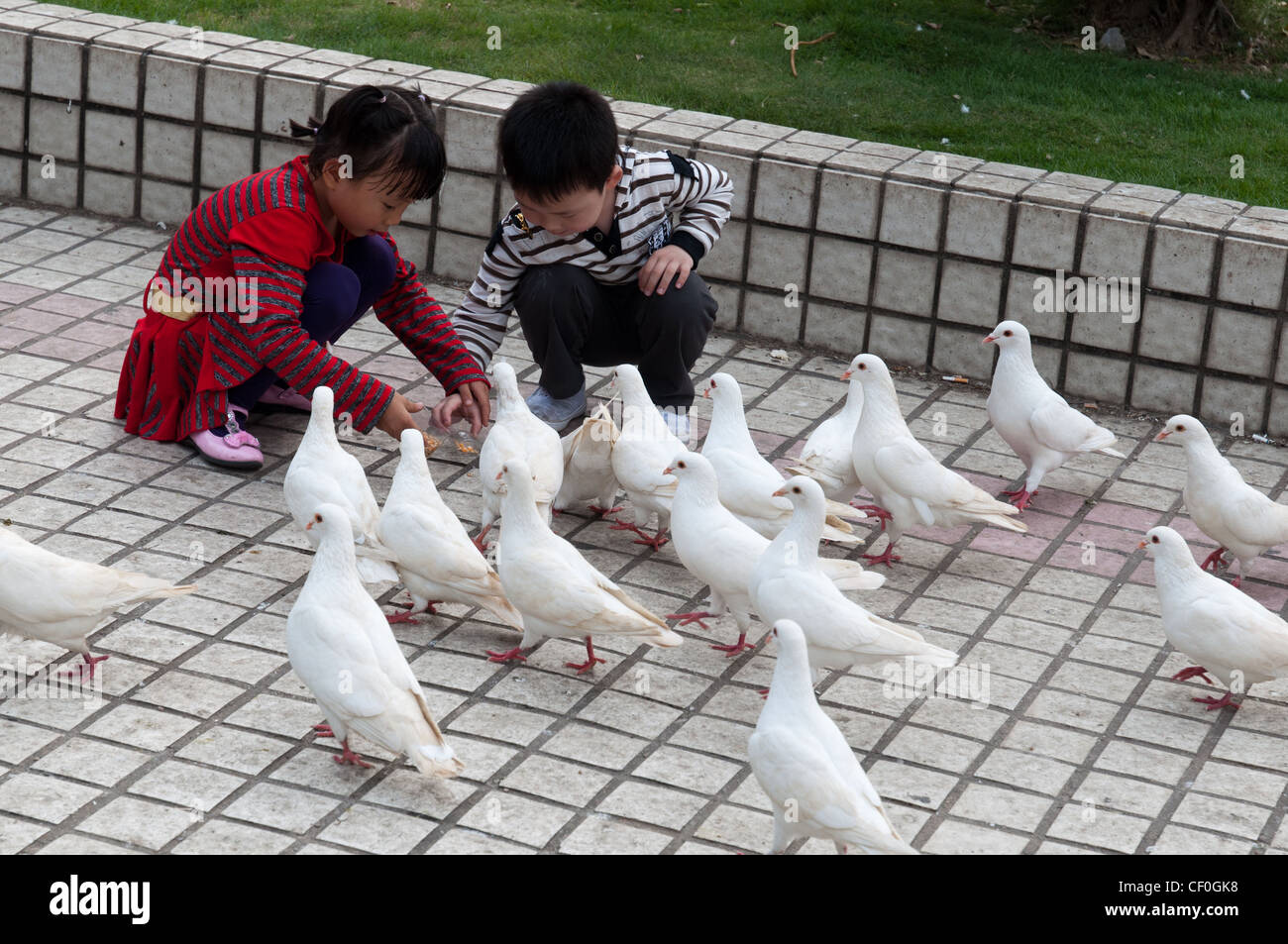 Doves in park hi-res stock photography and images - Alamy